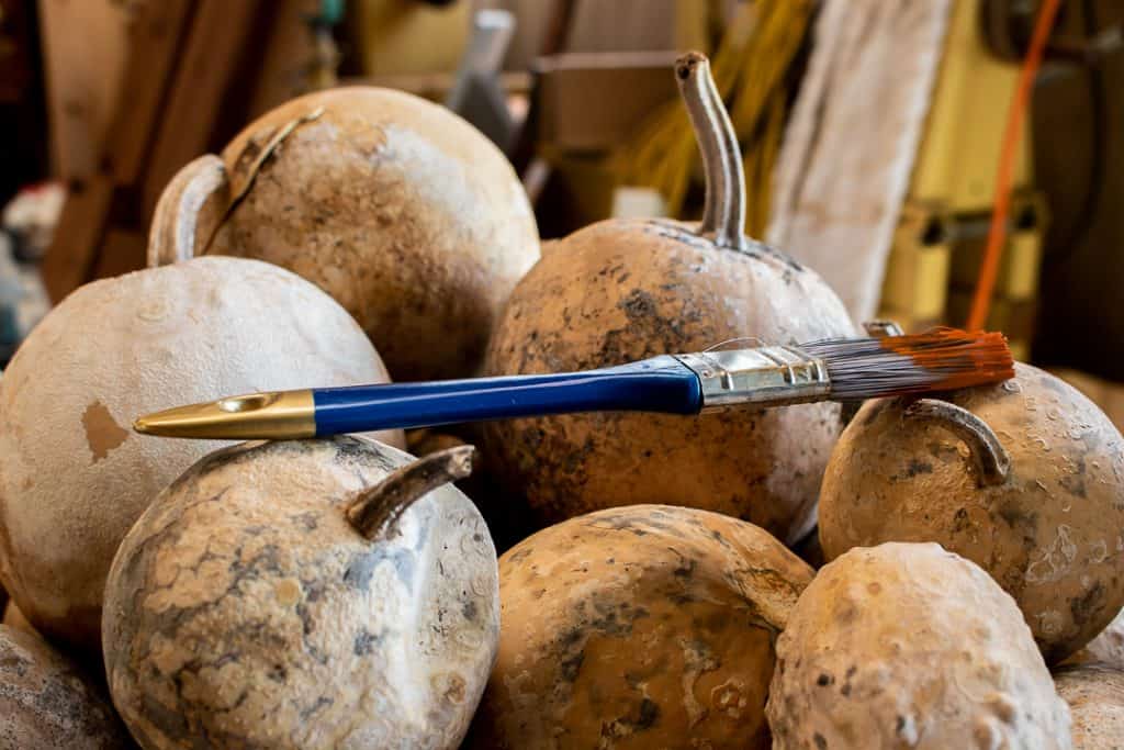 Trees at the Meteor 2018 | The Great Pumpkin Carnival